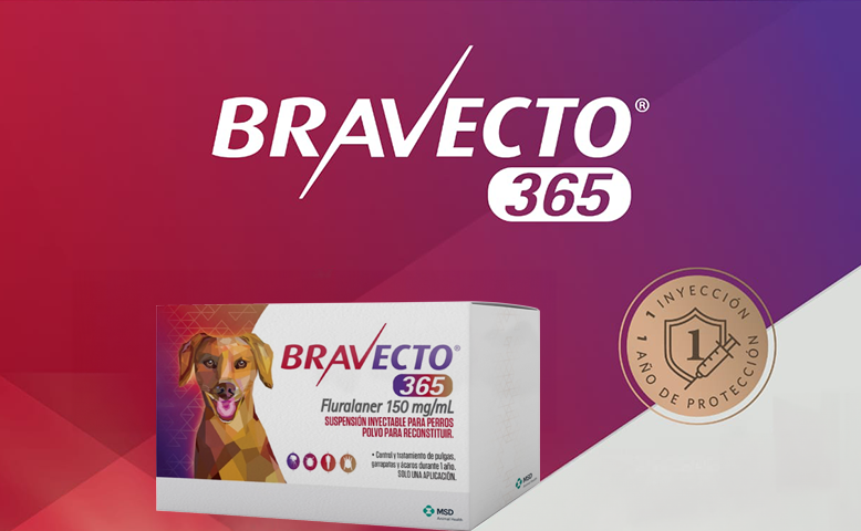 Los Beneficios de Bravecto 365 para la Salud de tu Perro - Human and Vet